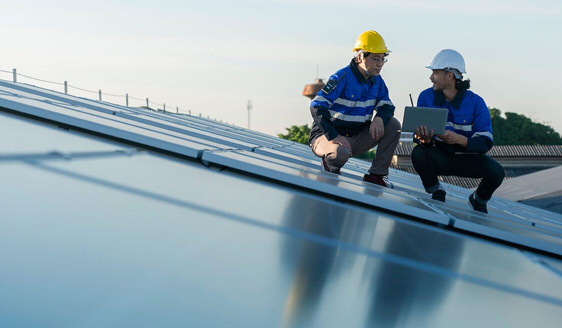 Bayleys launches new building consultancy service