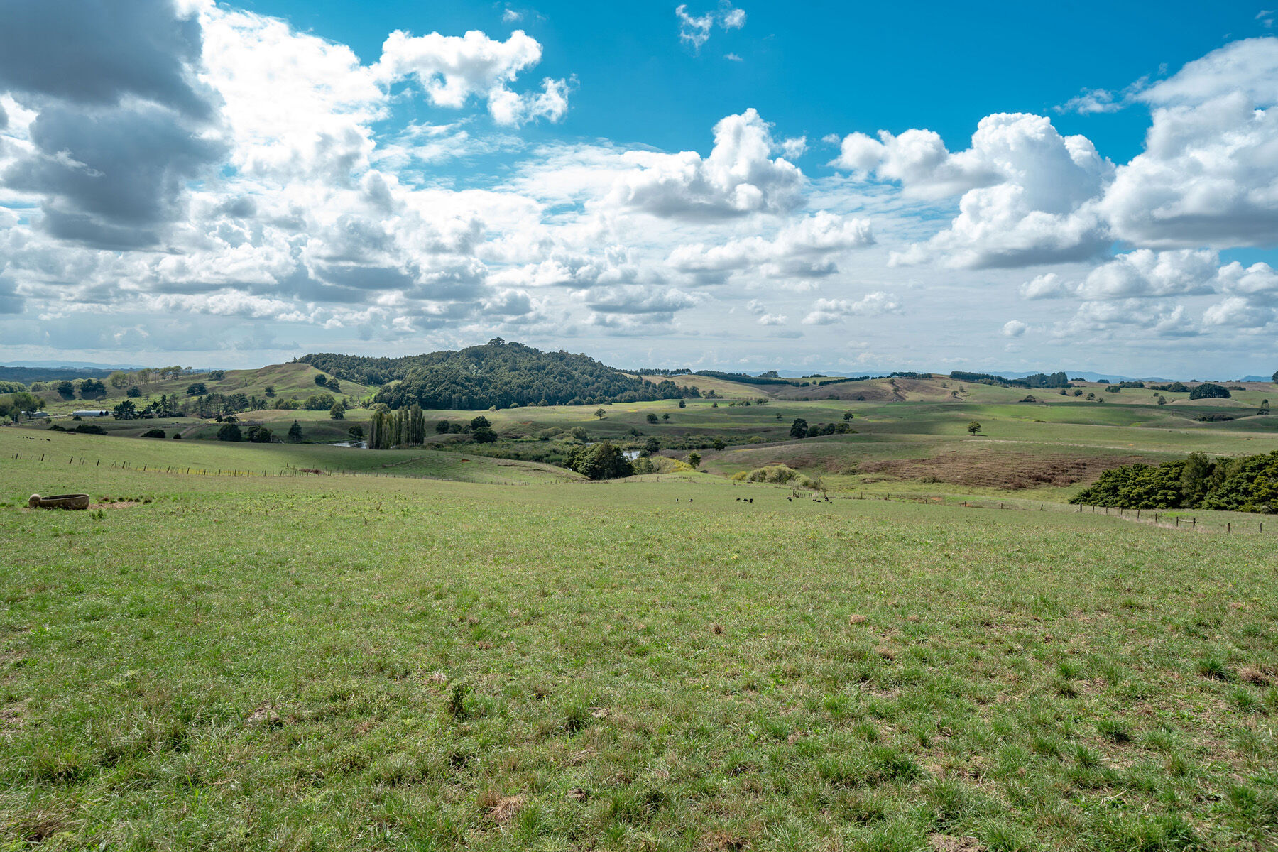 Large-scale highly fertile stock finishing farm placed on the market ...